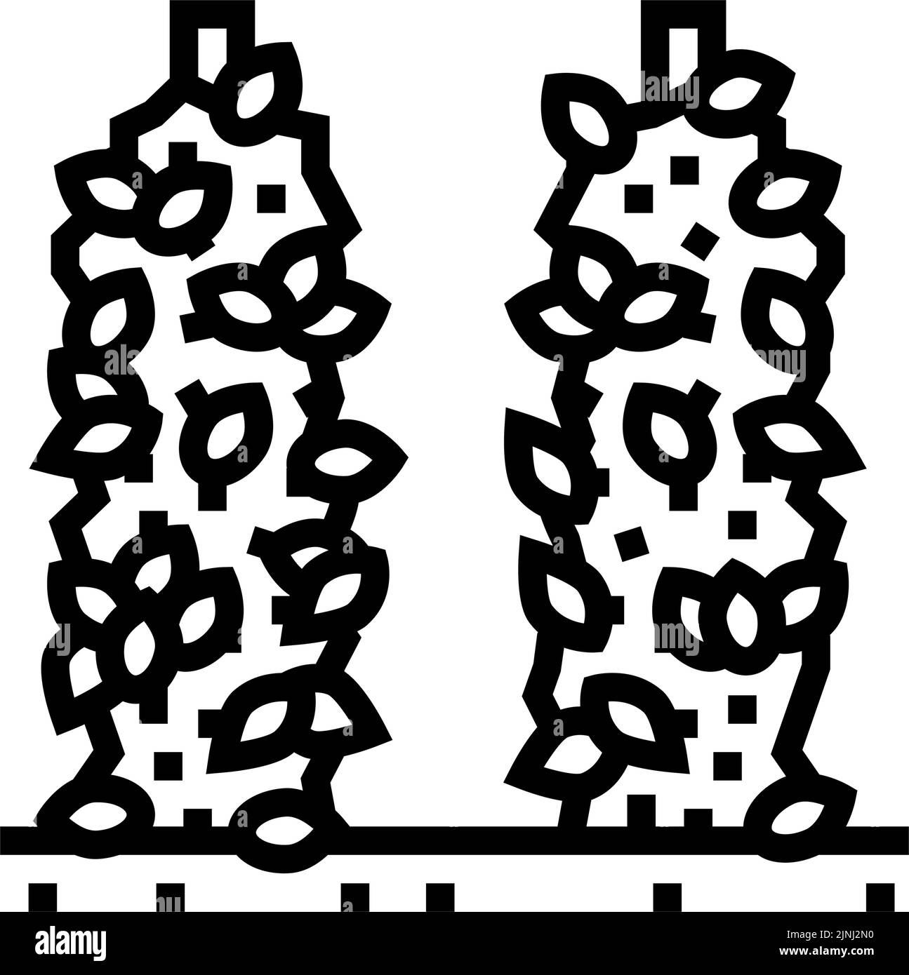 plant growing pepper line icon vector illustration Stock Vector Image ...