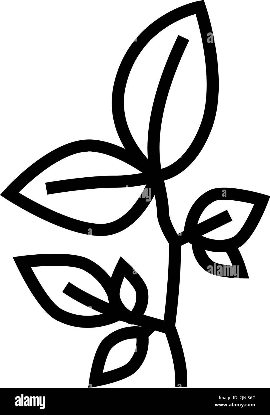 beech leaf line icon vector illustration Stock Vector Image & Art - Alamy