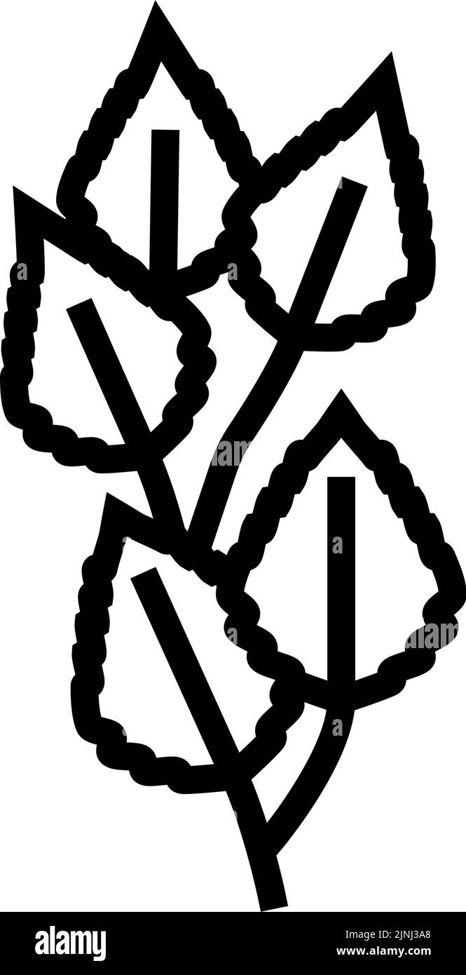 birch leaf line icon vector illustration Stock Vector Image & Art - Alamy