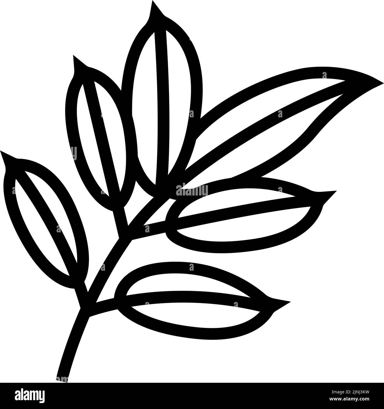 mahogany leaf line icon vector illustration Stock Vector Image & Art ...