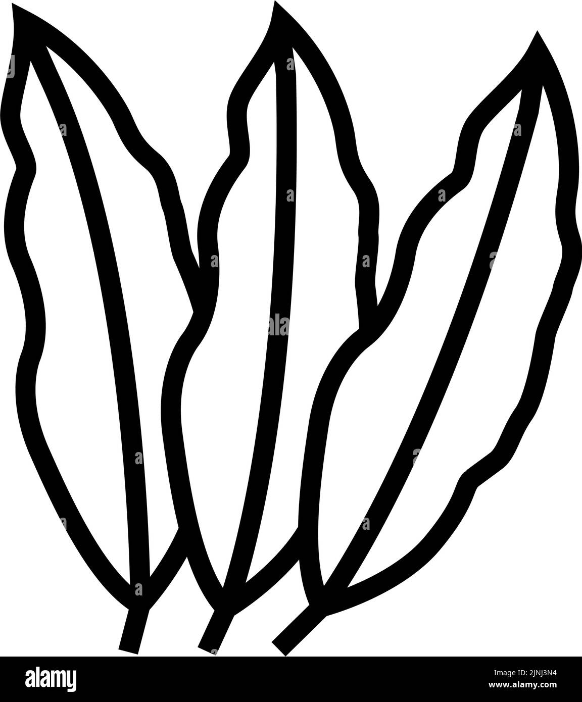 mango leaf line icon vector illustration Stock Vector Image & Art - Alamy