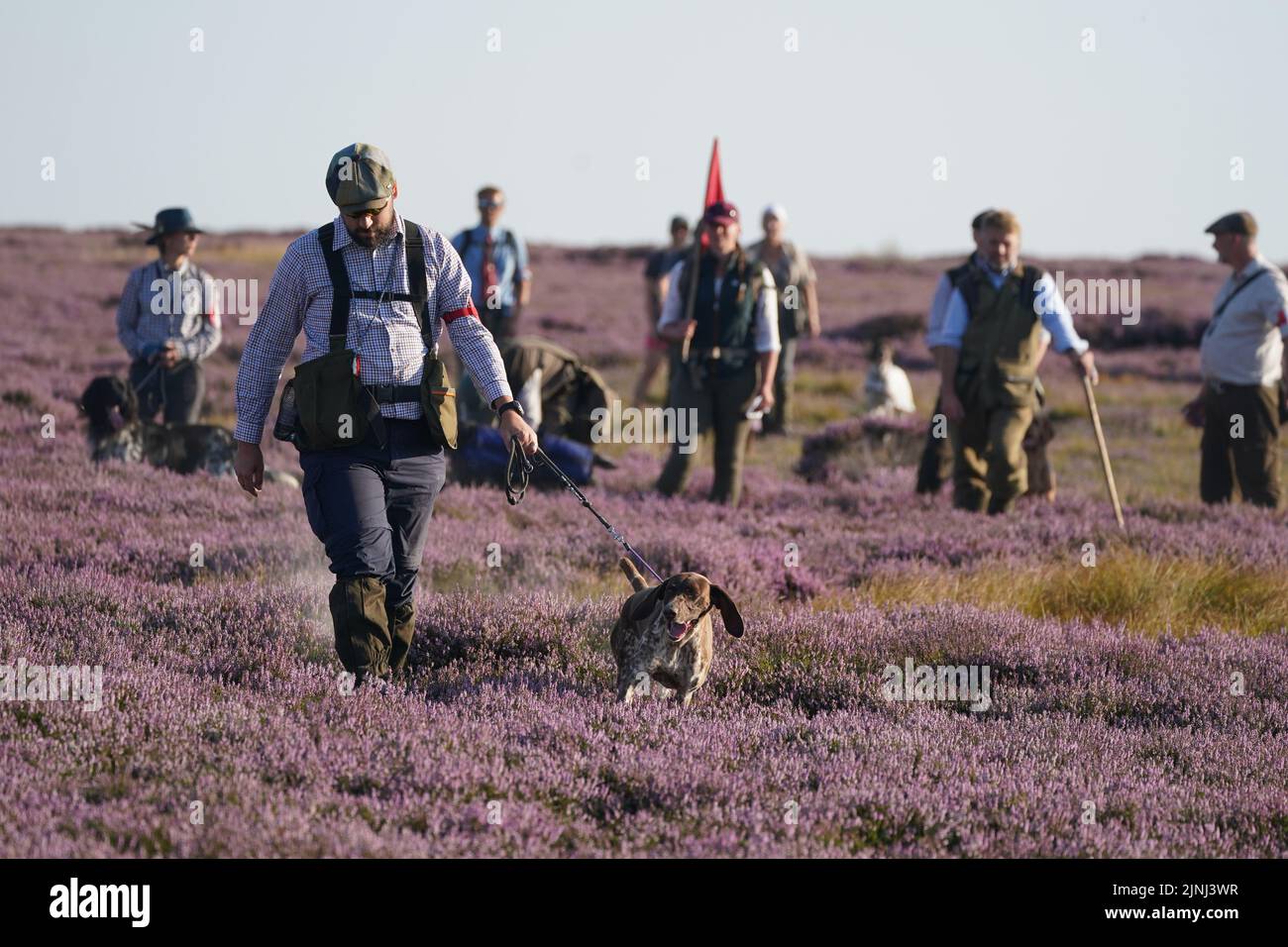 A shooting party on the moors in North Yorkshire, as the Glorious 12th ...