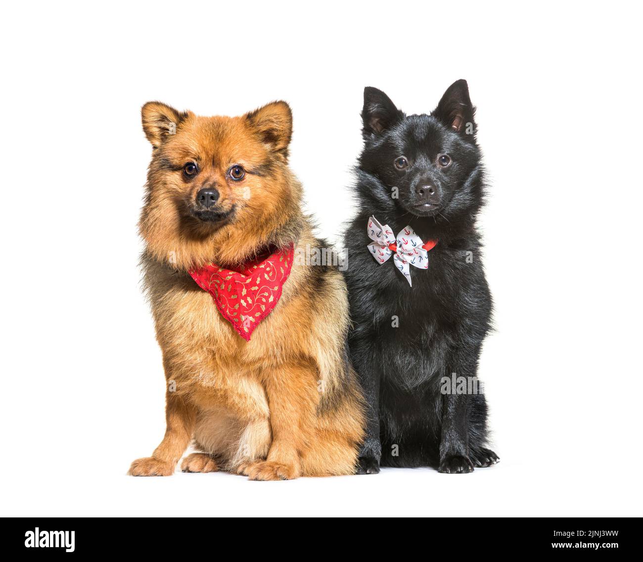 Looking up cross on Cut Out Stock Images & Pictures - Alamy