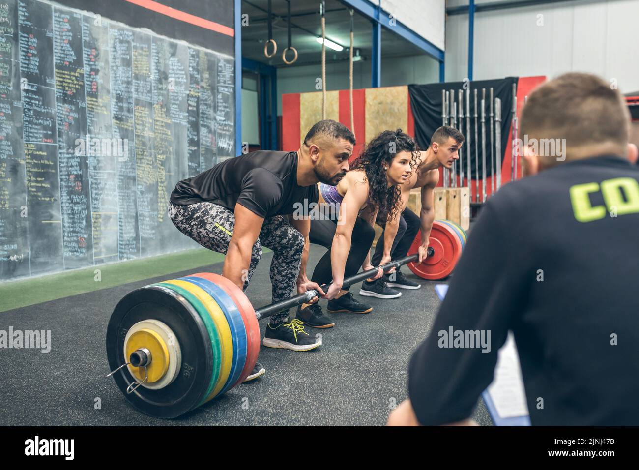 Mixed team lifting weights in the gym with their coach Stock Photo - Alamy
