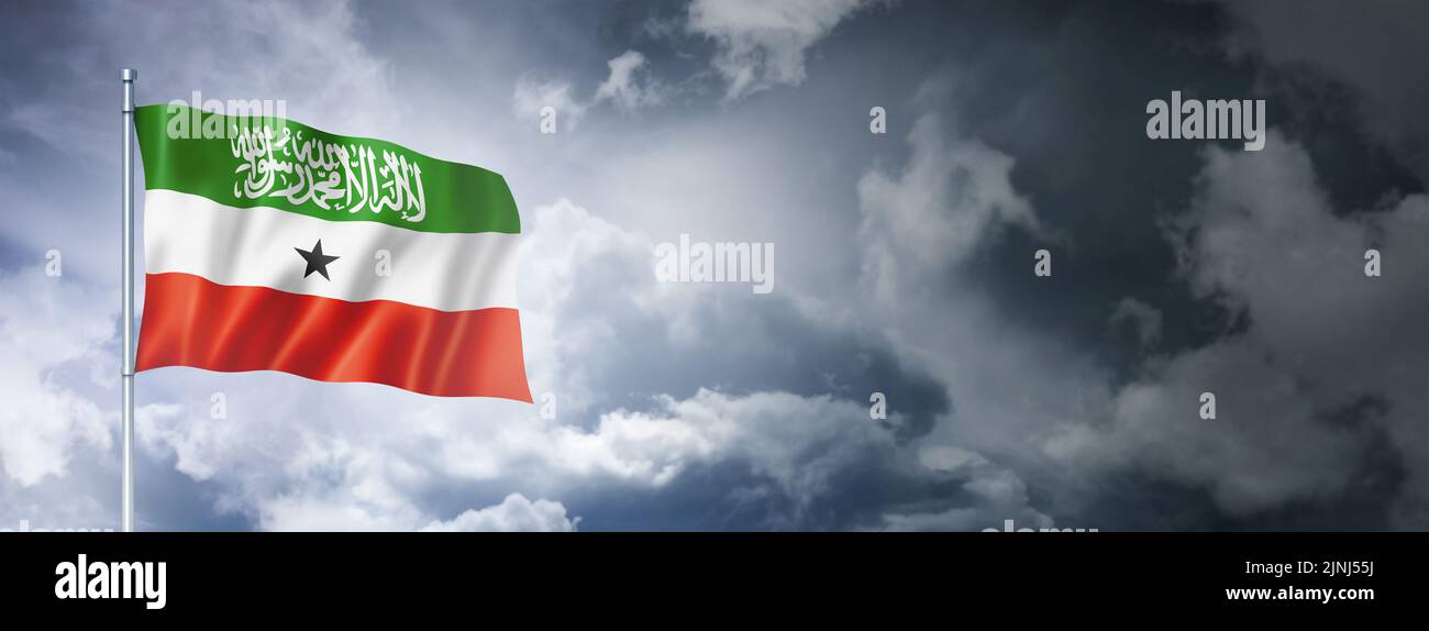 Somaliland flag on a cloudy sky, three dimensional render Stock Photo ...