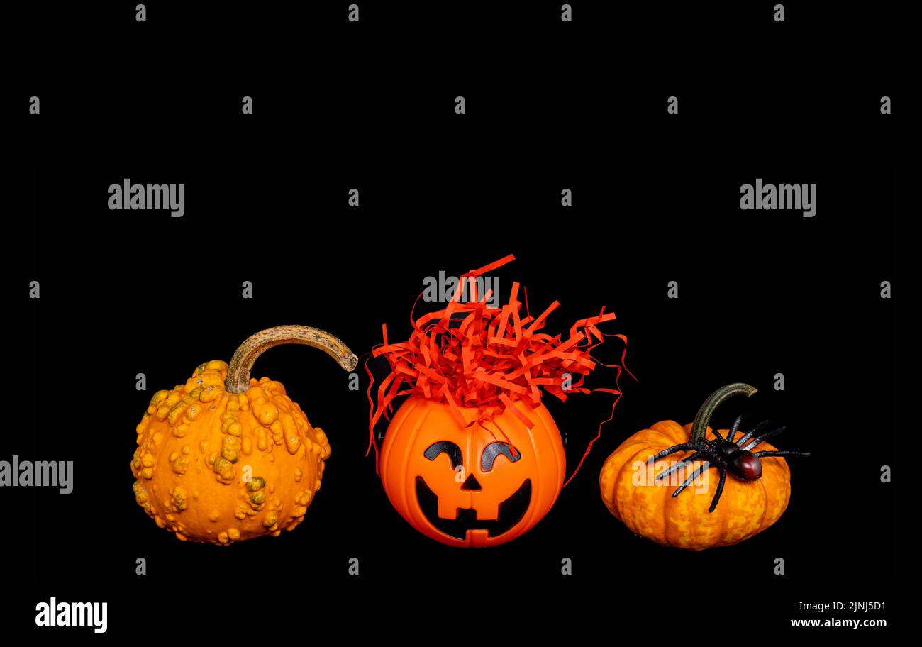 banner with three orange funny pumpkins for halloween, copy space for ...