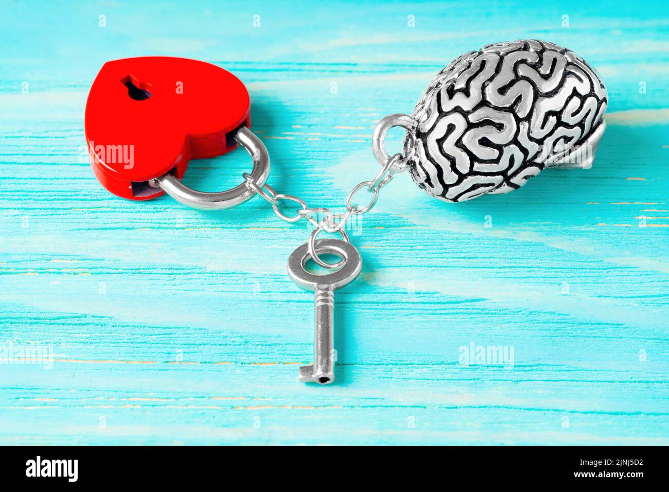 Anatomical copy of a human brain chained to a red heart-shaped padlock ...