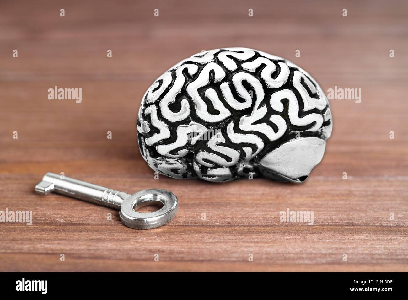 Steel copy of a human brain and a silver-toned master key on a wooden ...