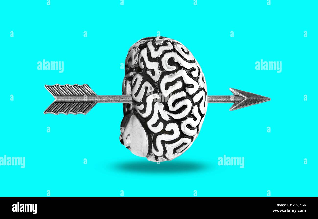 Steel feathered bowarrow passed through a metal copy of a human brain ...