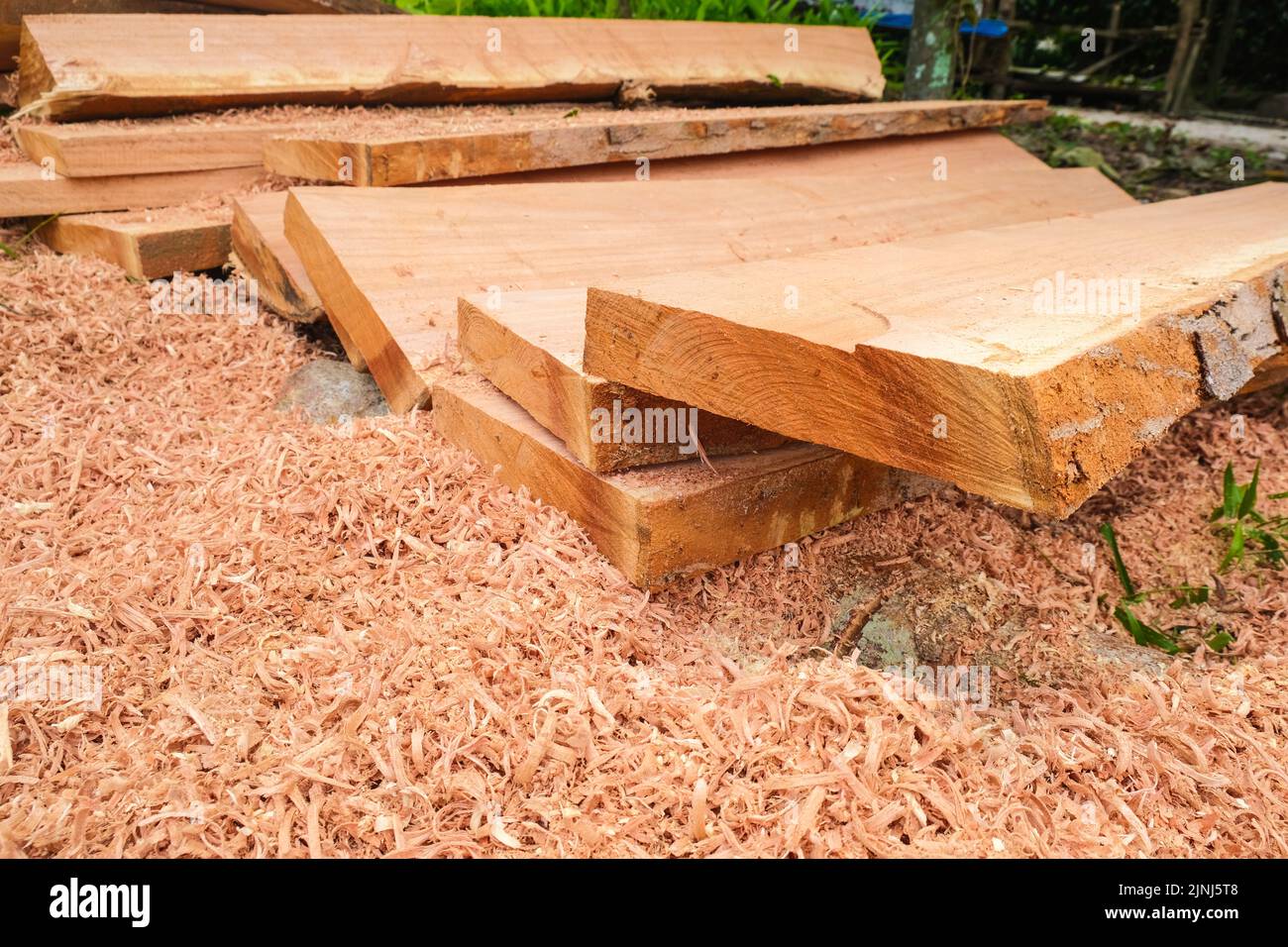 Wood cut in forest lumber industry stack on ground Stock Photo - Alamy