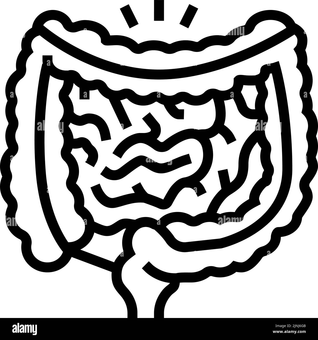 gastrocolic reflex line icon vector illustration Stock Vector Image ...