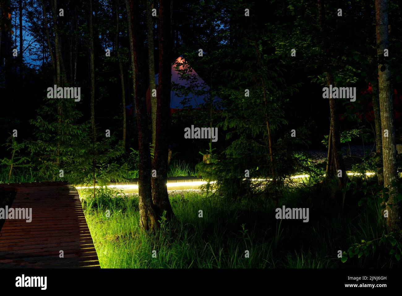Night lights at the glamping in the forest Stock Photo - Alamy