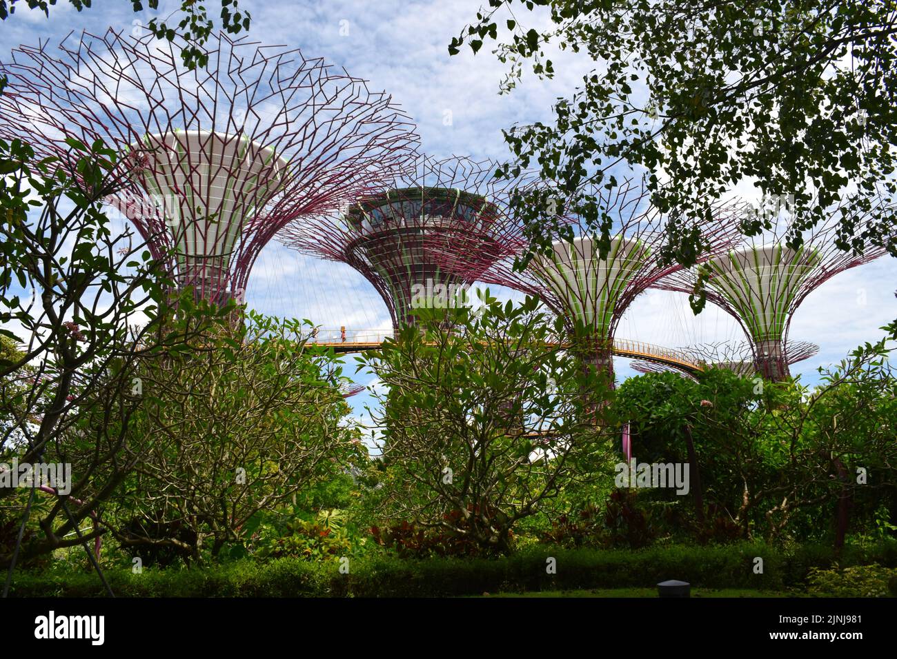 Super Trees Singapore Stock Photo - Alamy