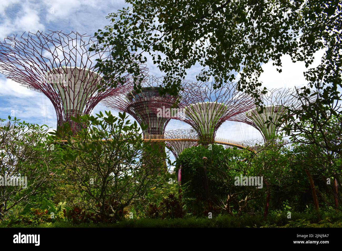 Super Trees Singapore Stock Photo - Alamy