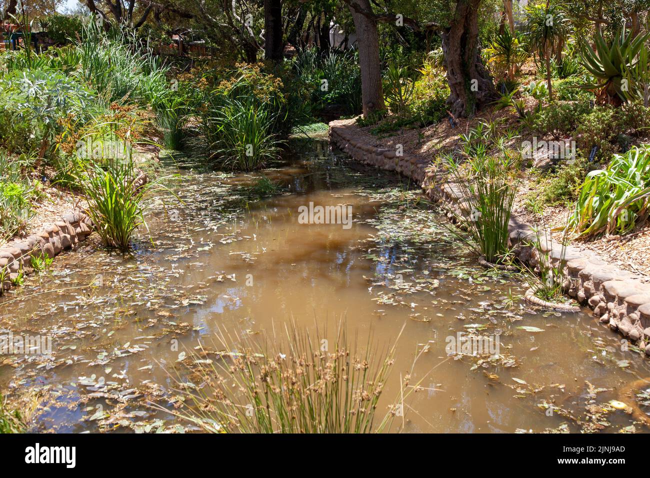 Pond at Babylonstoren Garden at Simondium in Western Cape, South Africa ...