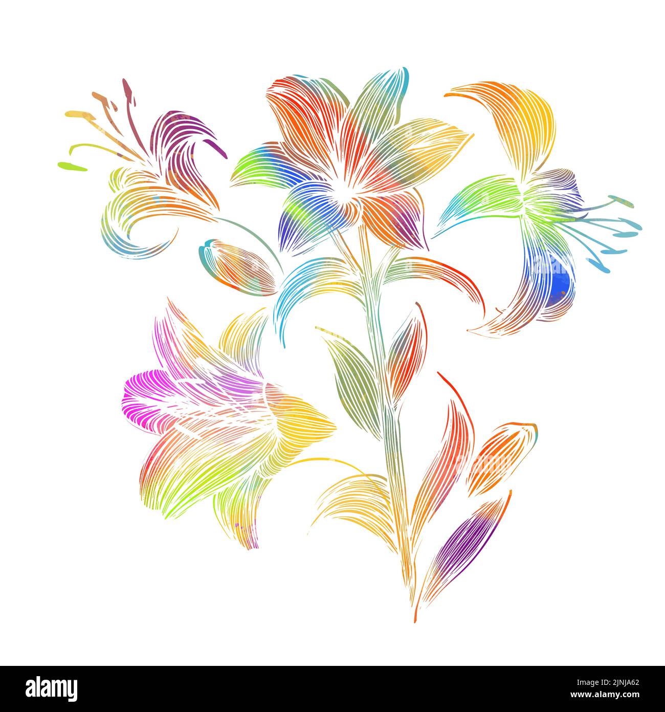 Creative abstract vector logo design template. Multicolored lily flower ...