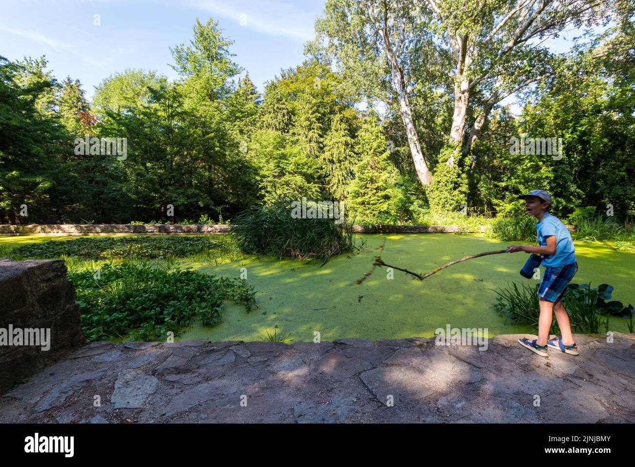 Boy child kid playing with tree branches at pond in Botanic Garden of ...