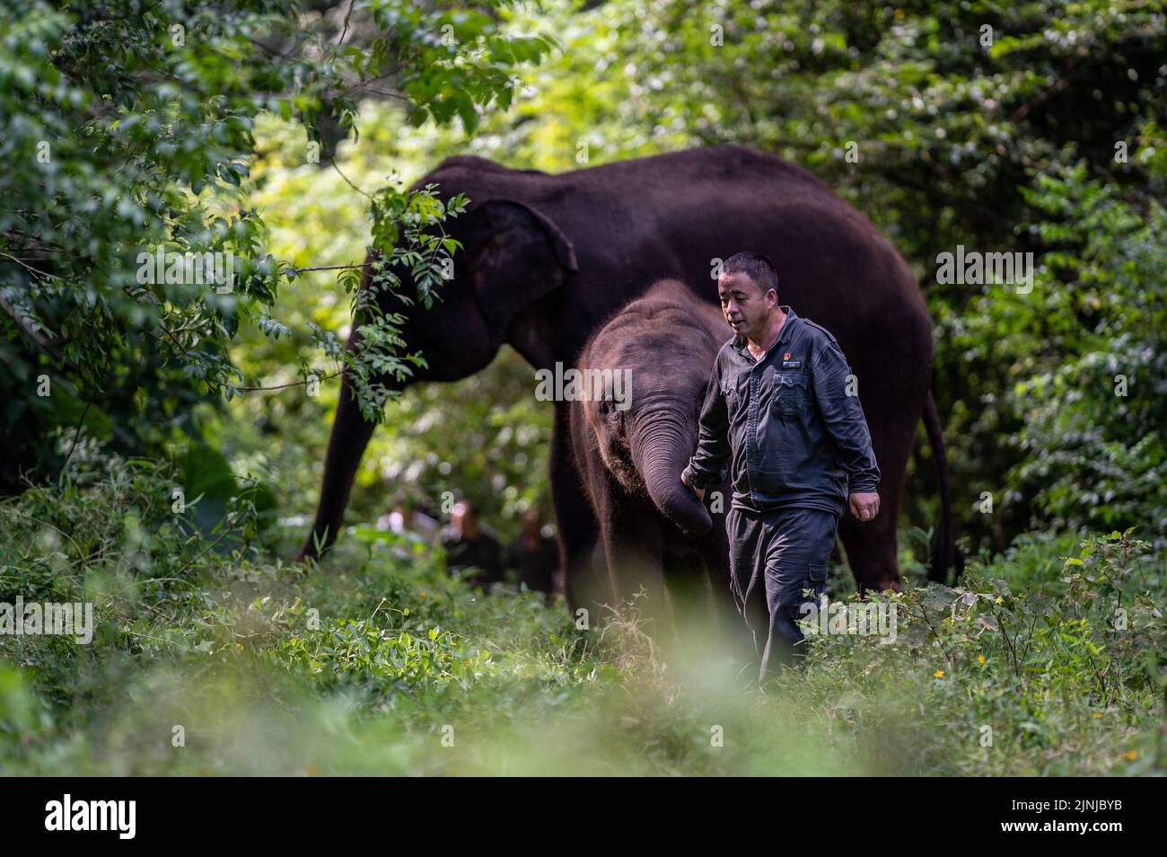 Kunming, China's Yunnan Province. 28th July, 2022. Bao Mingwei, an ...