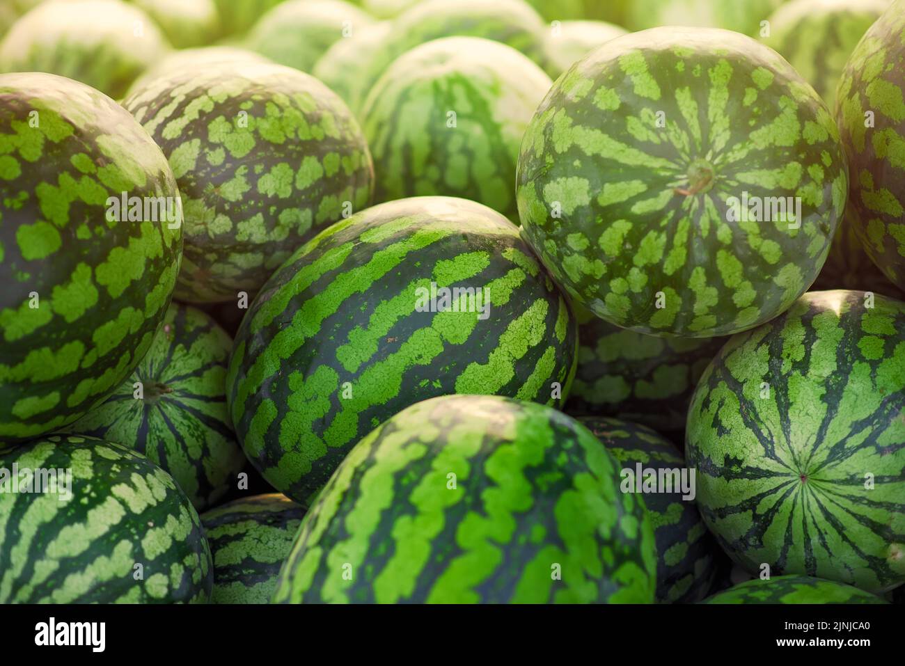 Big watermelons hi-res stock photography and images - Alamy