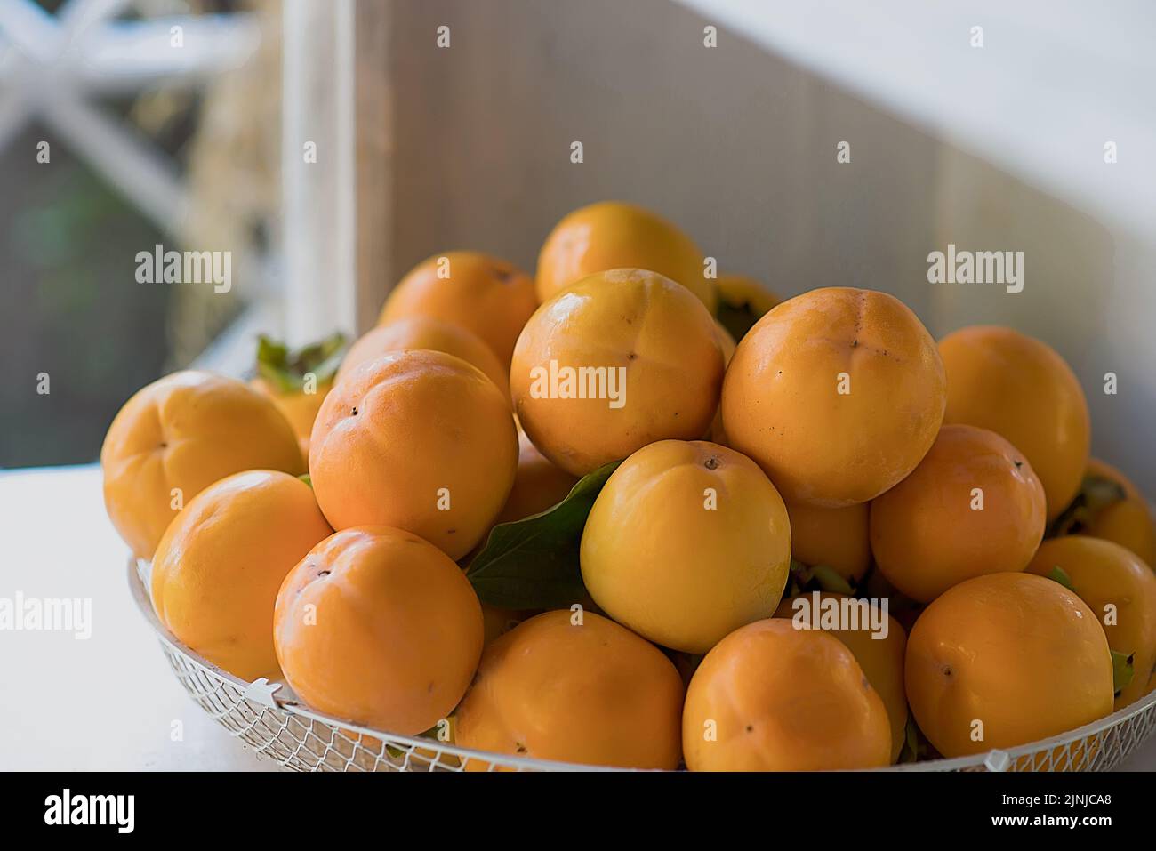 Veranda of countryside house in autumn season. Autumn arbor, with ...