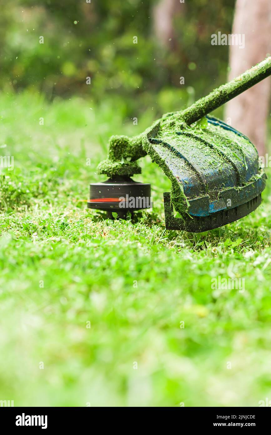 Gardening. Cutting the lawn with cordless grass trimmer, edger, close ...