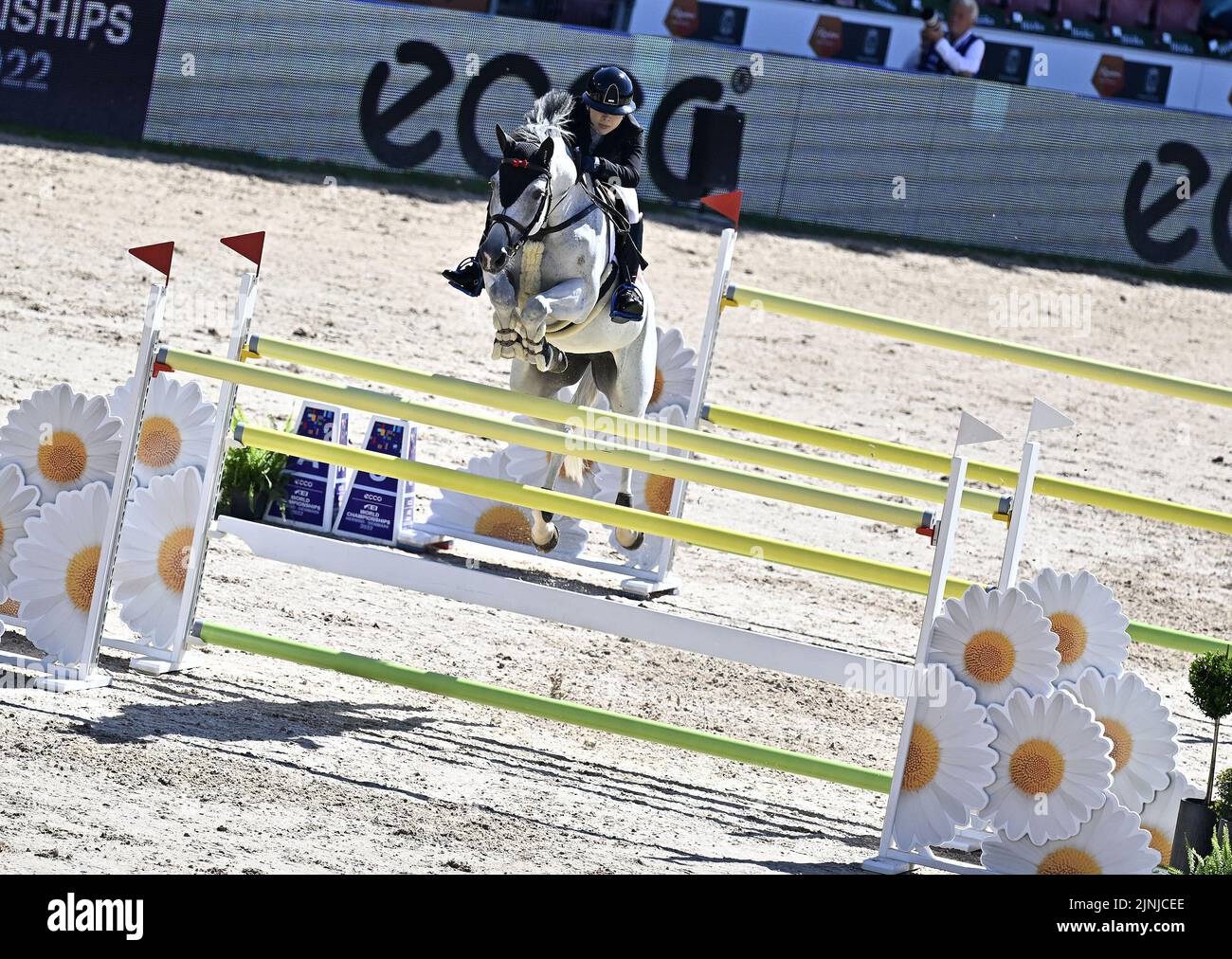 Herning, Denmark. 11th Aug, 2022. World Equestrian Games. Stutteri Ask ...