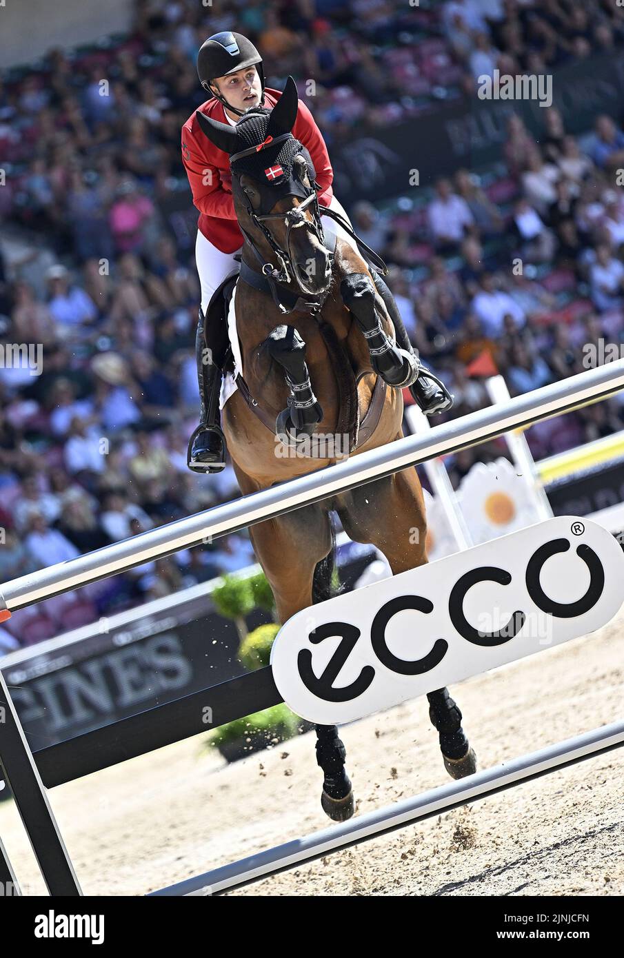 Herning. Denmark. 11 August 2022. World Equestrian Games. Stutteri Ask ...