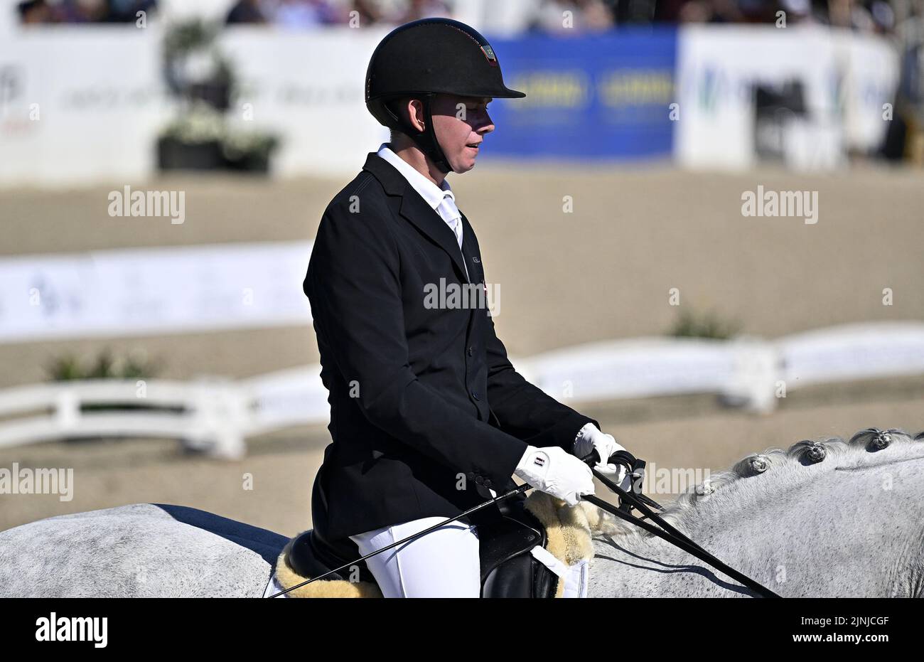 Herning. Denmark. 11 August 2022. World Equestrian Games. Stutteri Ask ...