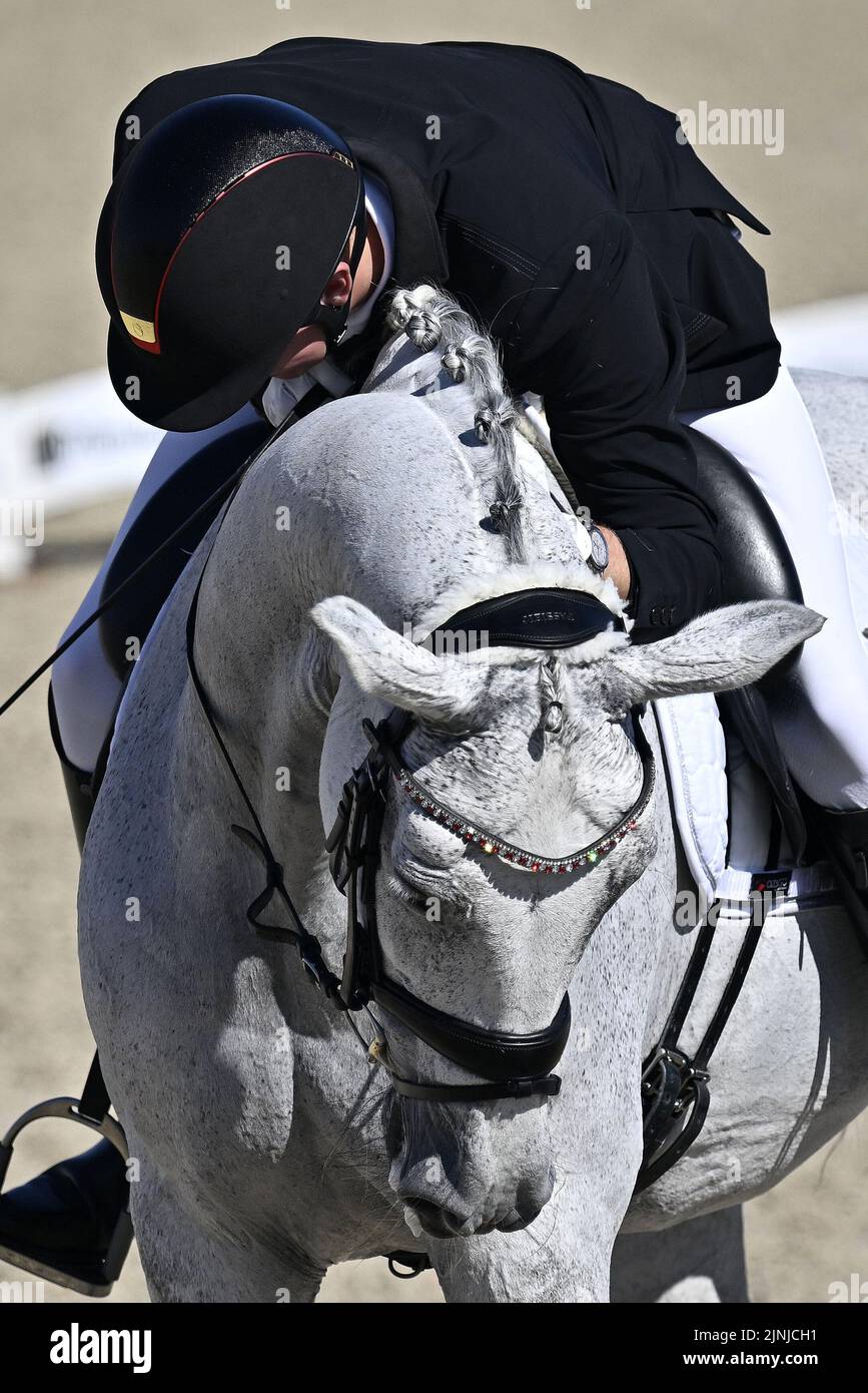 Herning. Denmark. 11 August 2022. World Equestrian Games. Stutteri Ask ...