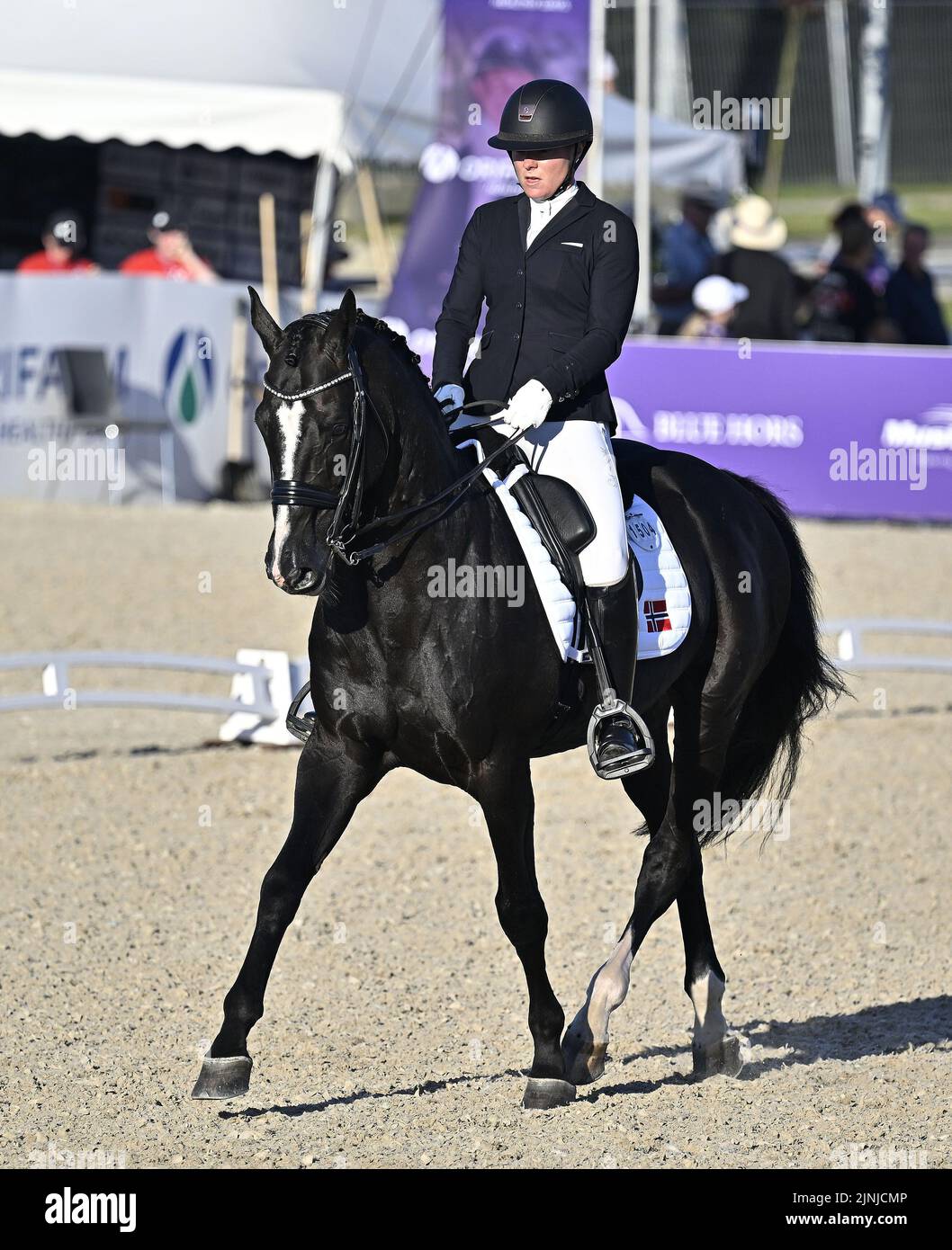 Herning, Denmark. 11th Aug, 2022. World Equestrian Games. Stutteri Ask ...