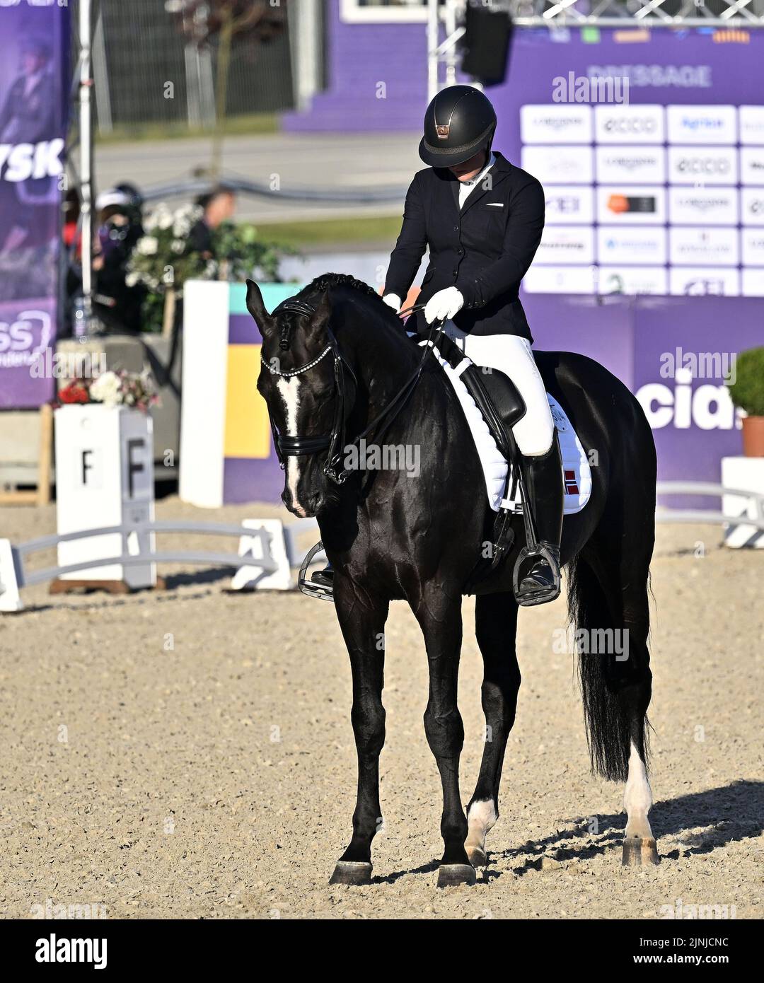 Herning, Denmark. 11th Aug, 2022. World Equestrian Games. Stutteri Ask ...