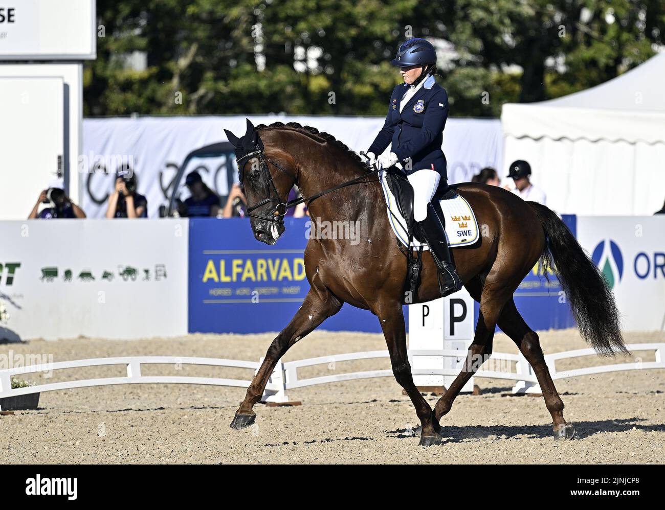 Herning, Denmark. 11th Aug, 2022. World Equestrian Games. Stutteri Ask ...