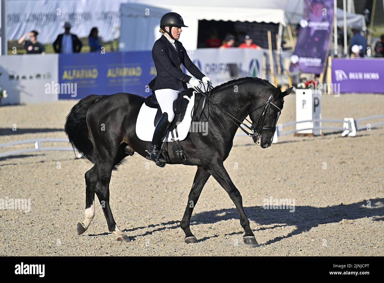 Herning, Denmark. 11th Aug, 2022. World Equestrian Games. Stutteri Ask ...