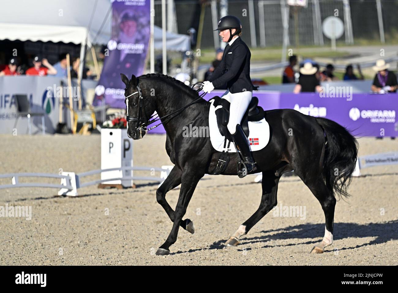 Herning, Denmark. 11th Aug, 2022. World Equestrian Games. Stutteri Ask ...