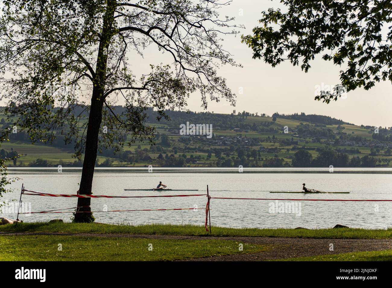 The view of scullers on the lake Stock Photo - Alamy