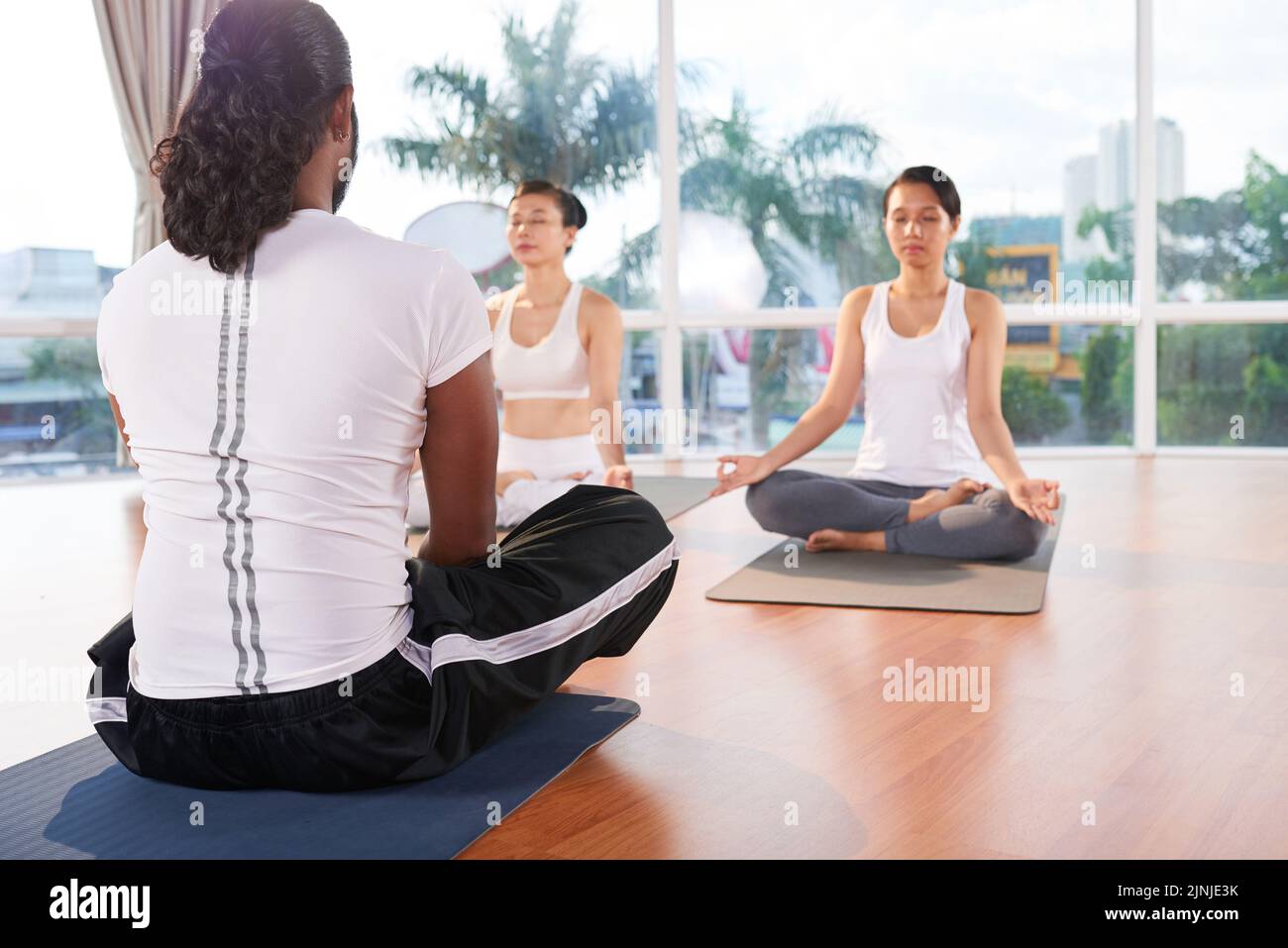 People attending yoga class in the morning Stock Photo - Alamy