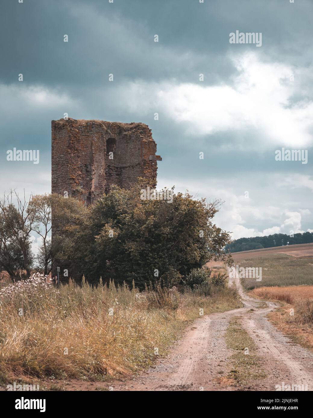 A vertical shot of a path in the field and ruins of Seeburg castle in ...