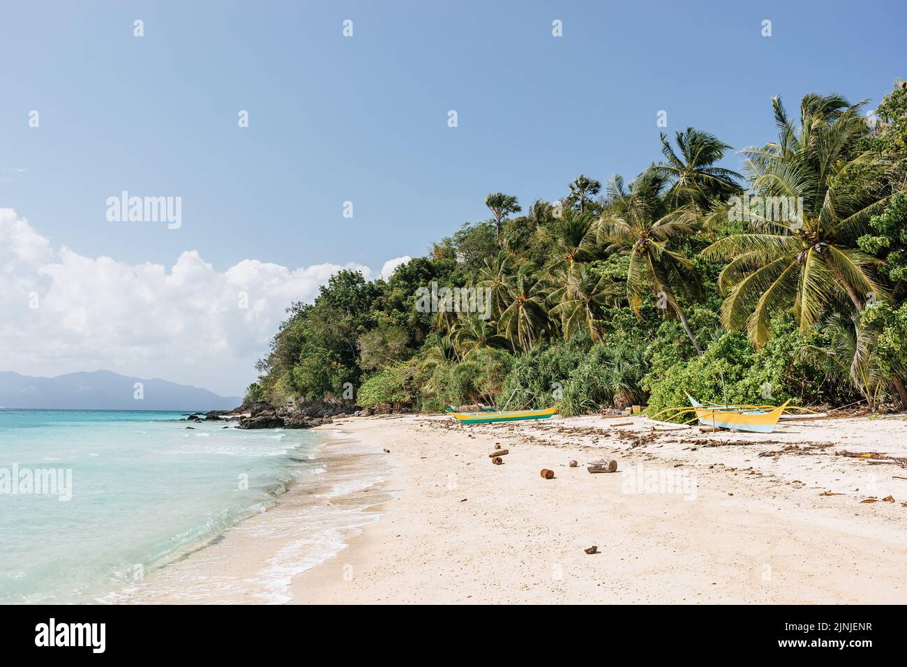 A tranquil scenery of the untouched Romblon beach with palm trees in ...