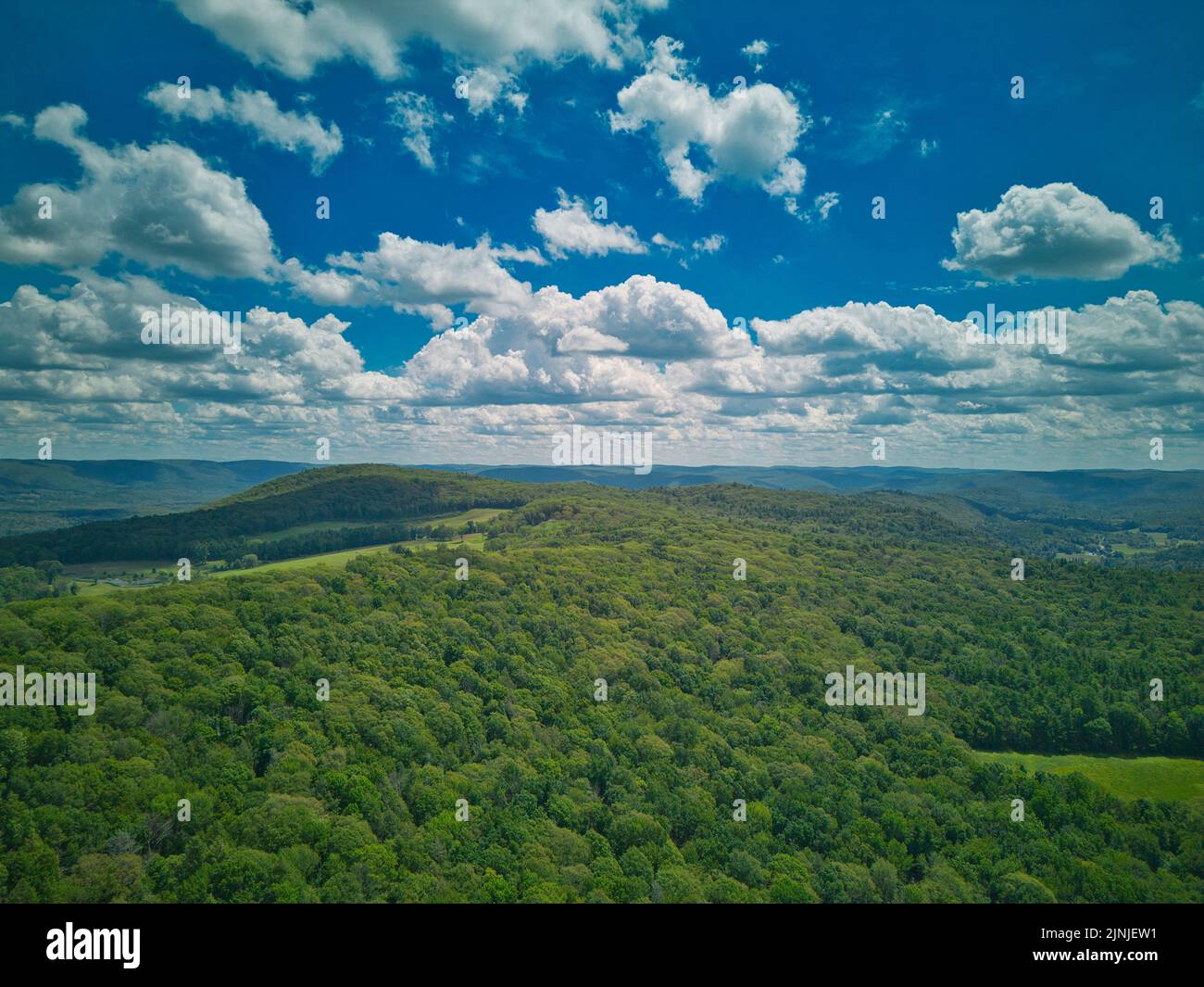 A scenic landscape of a forest along the Appalachian Trail in ...