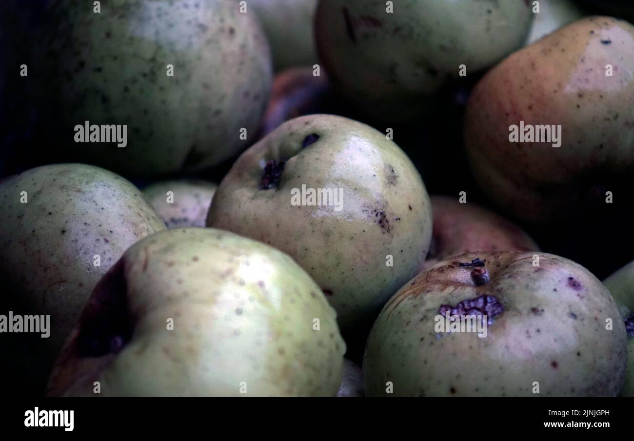 Rotting food uk hi-res stock photography and images - Alamy