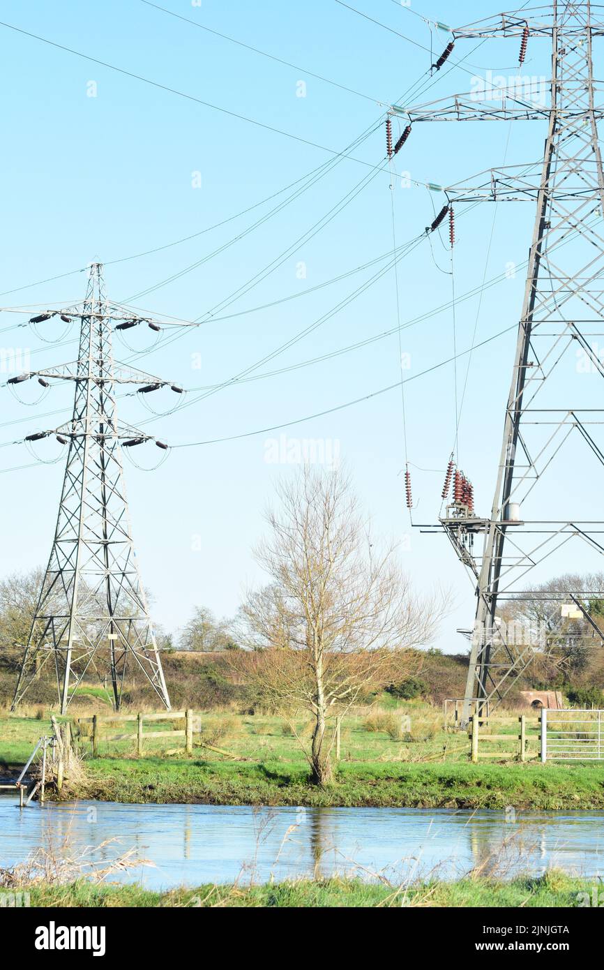 Pylons next to tree hi-res stock photography and images - Alamy