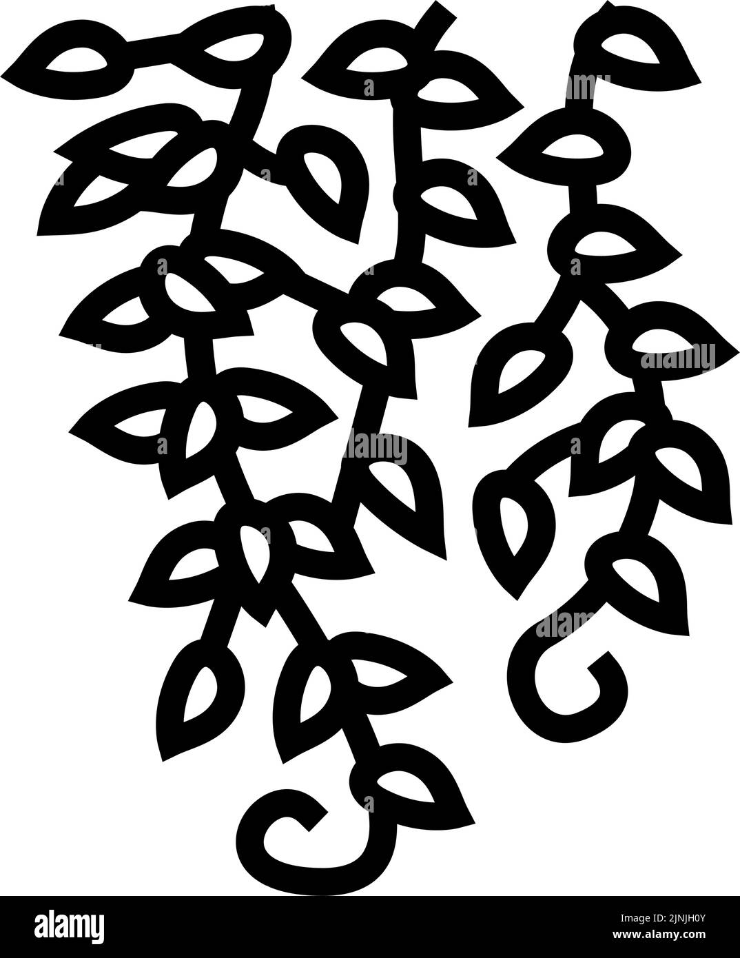 liana growing branch line icon vector illustration Stock Vector Image ...