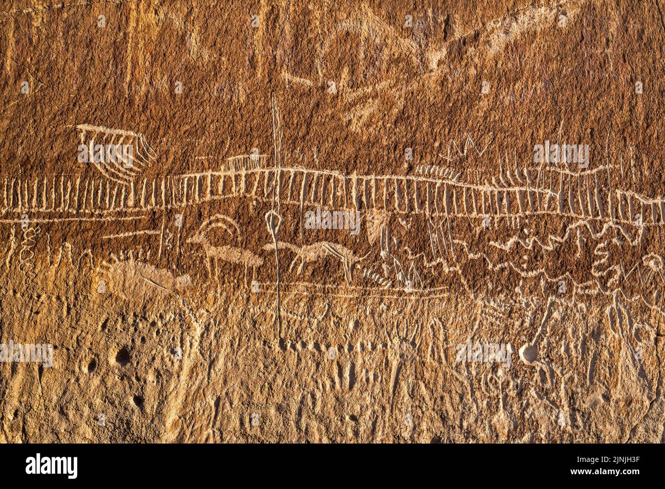 Petroglyphs at tuff outcrop, White River Narrows Archaeological ...