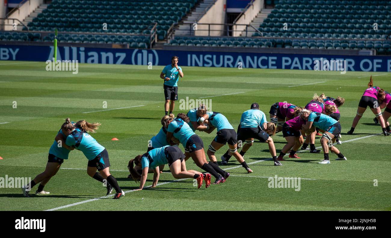 Red roses rugby hi-res stock photography and images - Alamy