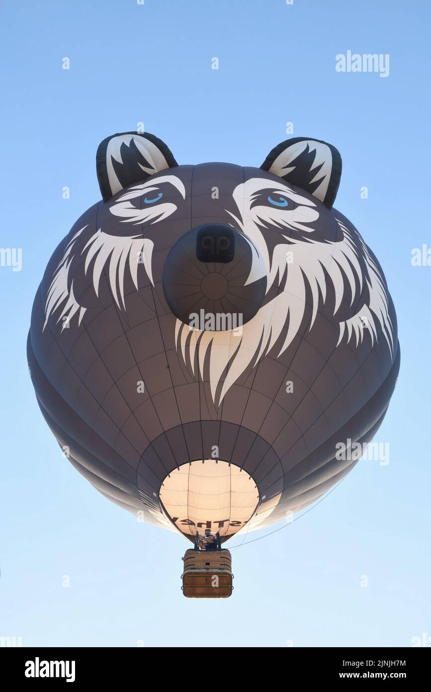 "Bristol Balloon Fiesta 2022", "hot air balloons","Wes the wolf ...