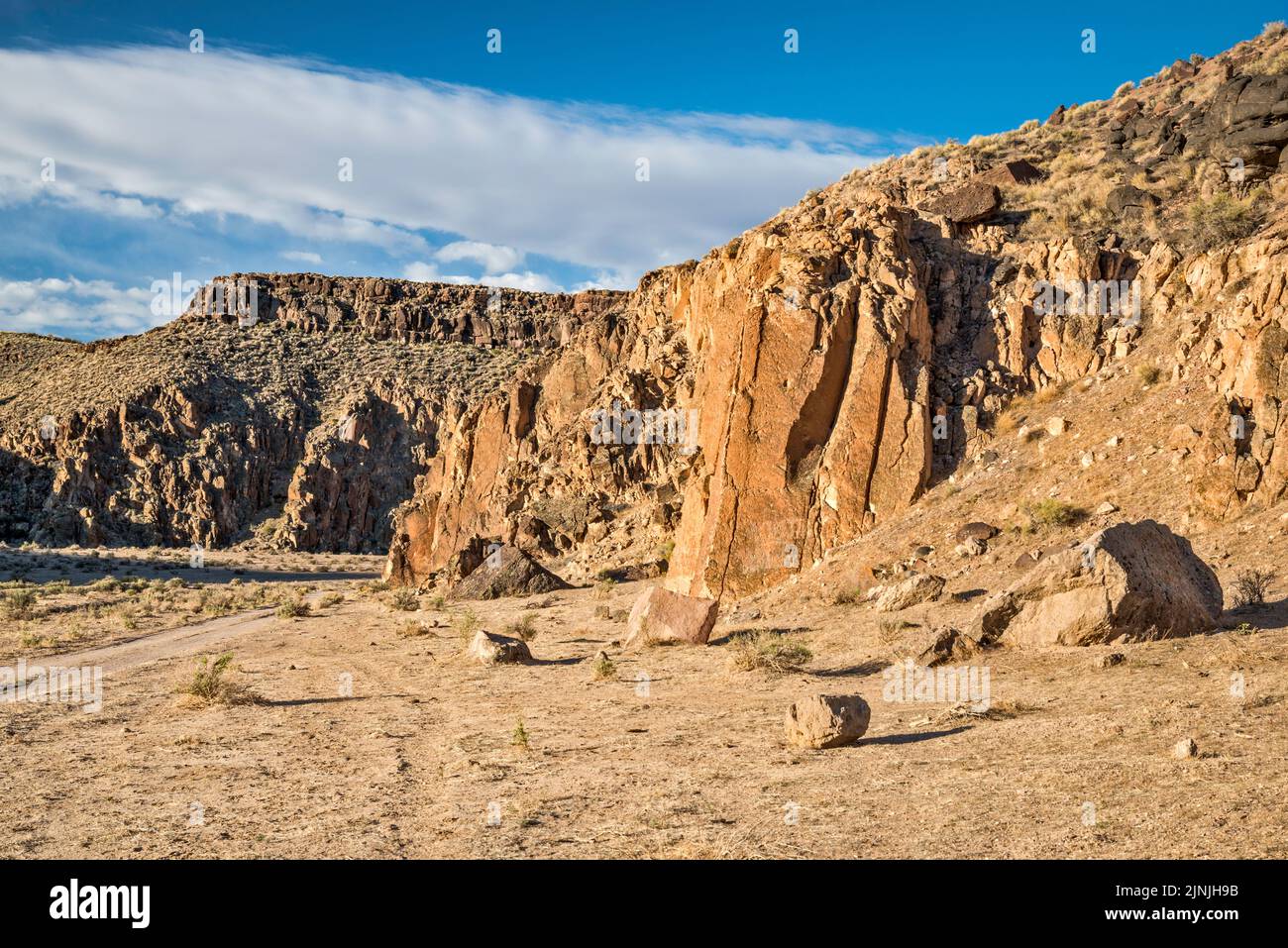 Petroglyph site at tuff cliffs, White River Narrows Archaeological ...