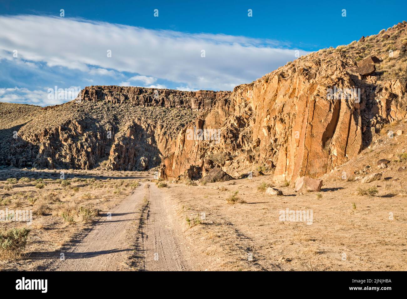 Petroglyph site at tuff cliffs, White River Narrows Archaeological ...