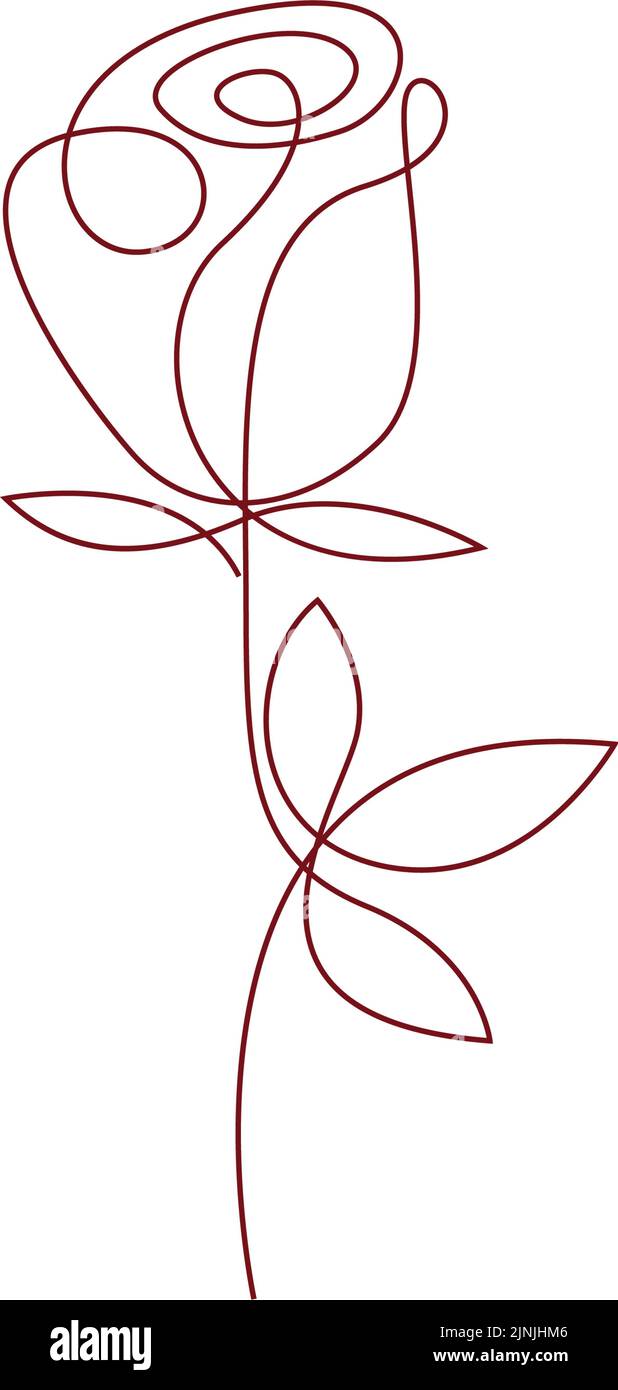 Red rose line art design illustration Stock Vector Image & Art - Alamy