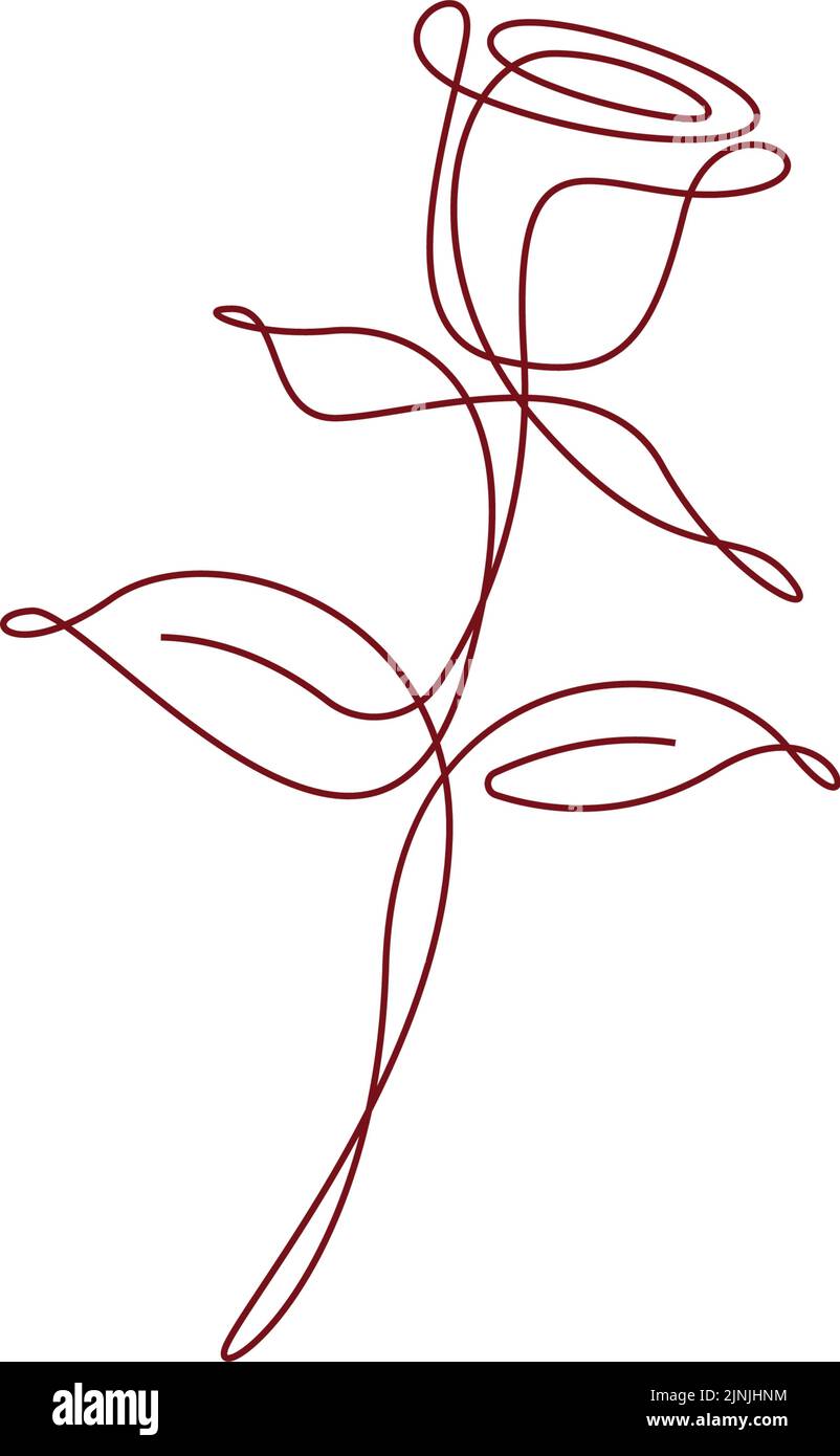 Red rose line art design illustration Stock Vector Image & Art - Alamy