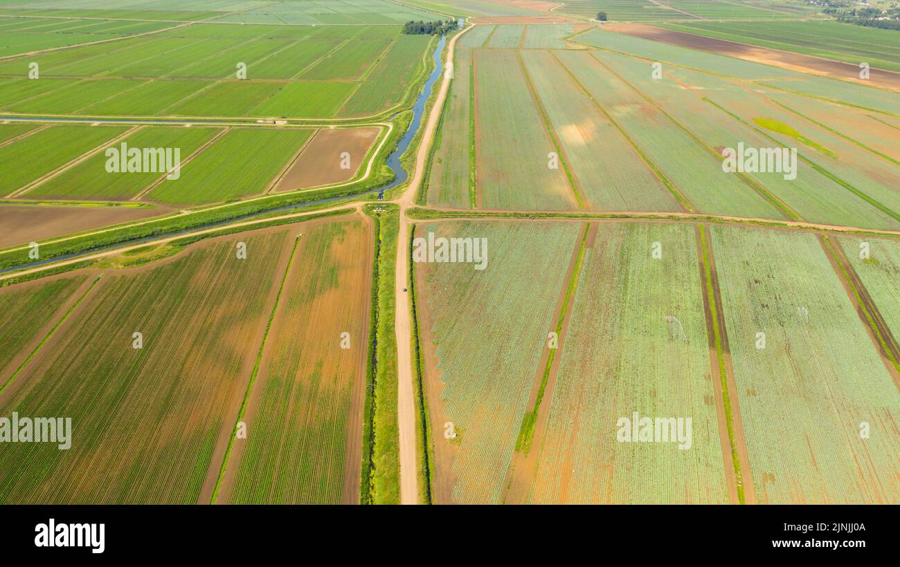 Agricultural land with with green crops and agricultural machinery top ...